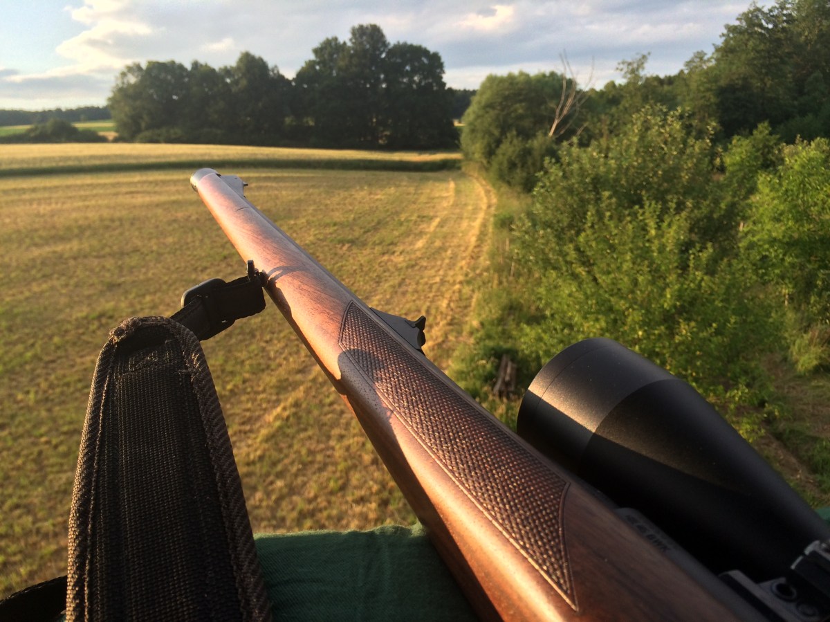 Dauertest Steyr Mannlicher Classic Stutzen – Jagd und Natur Blog