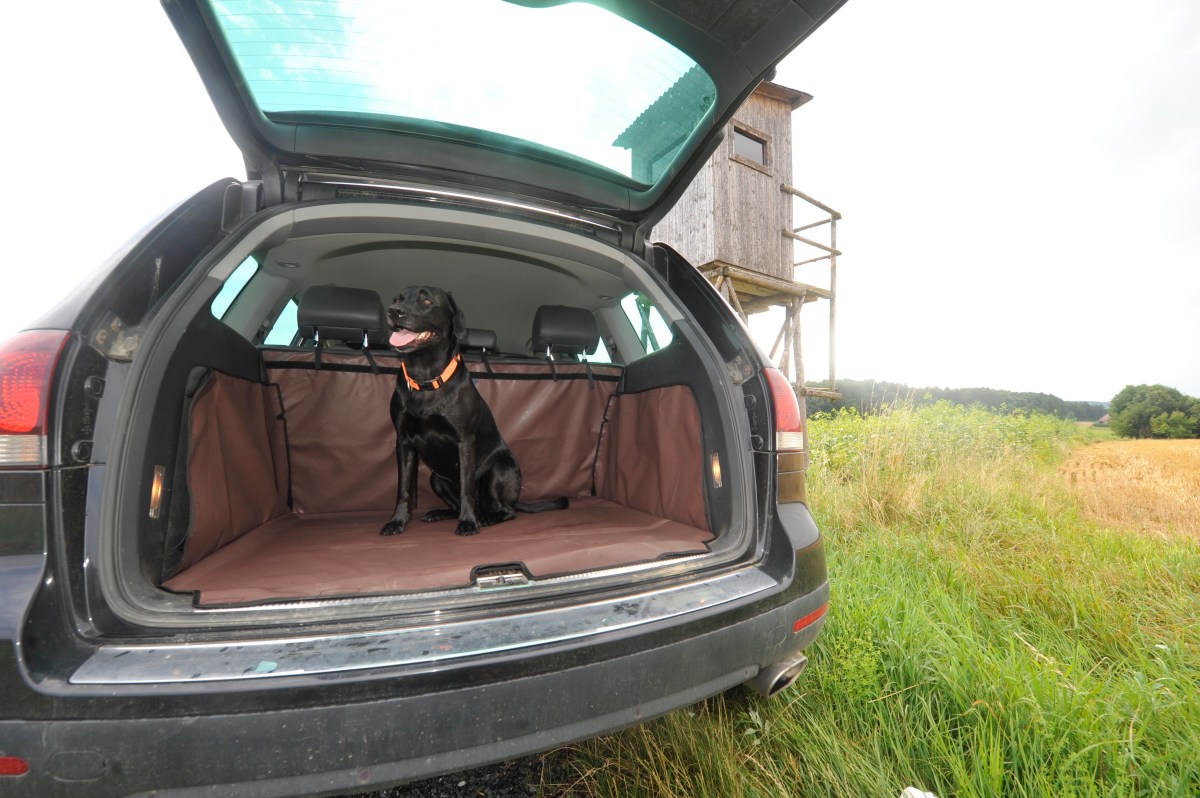 Test: Hatchbag Kofferraumschutz – Jagd und Natur Blog